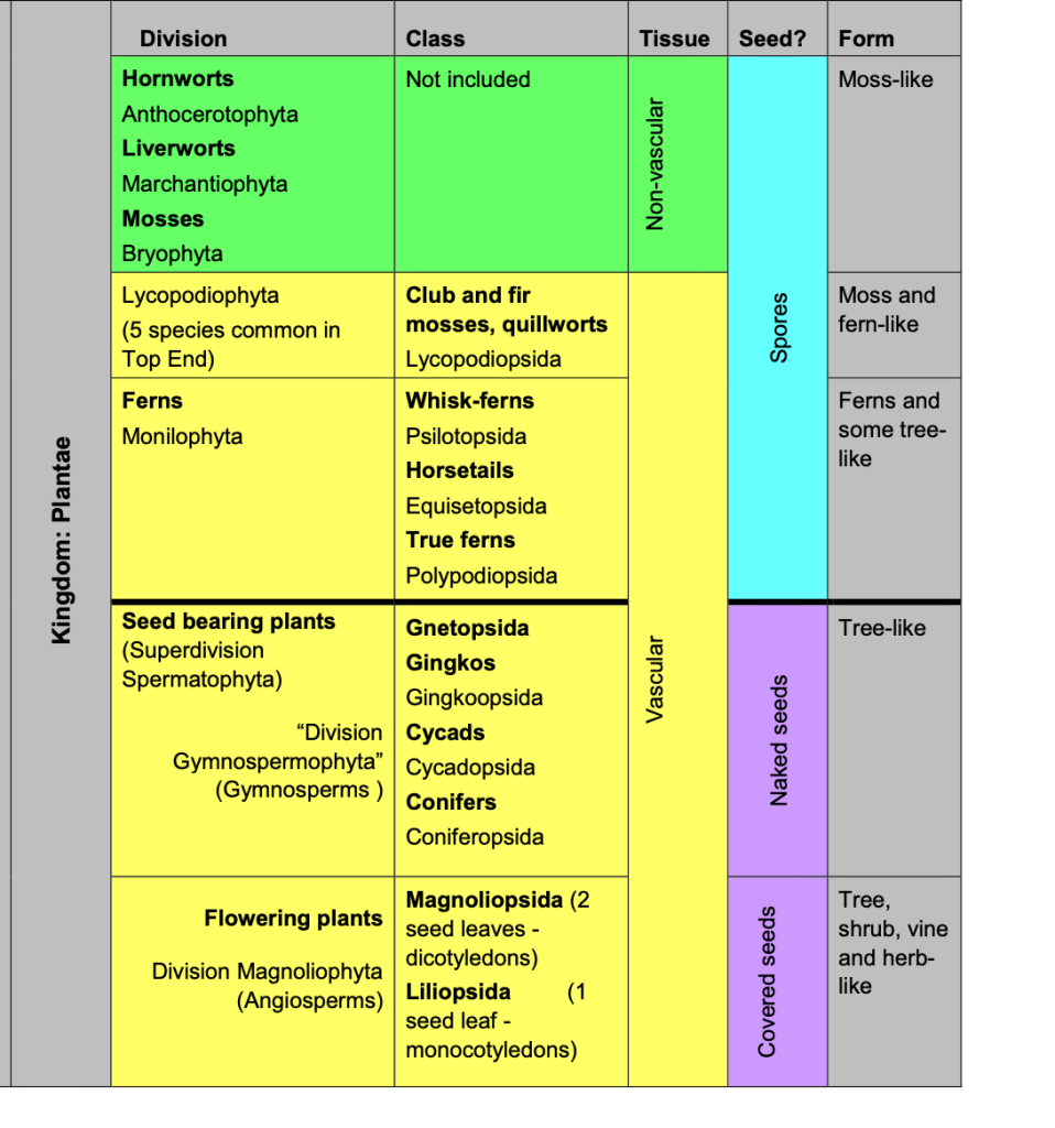 Vascular vs Nonvascular – Recognise Plants